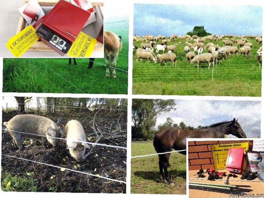 Электропастух