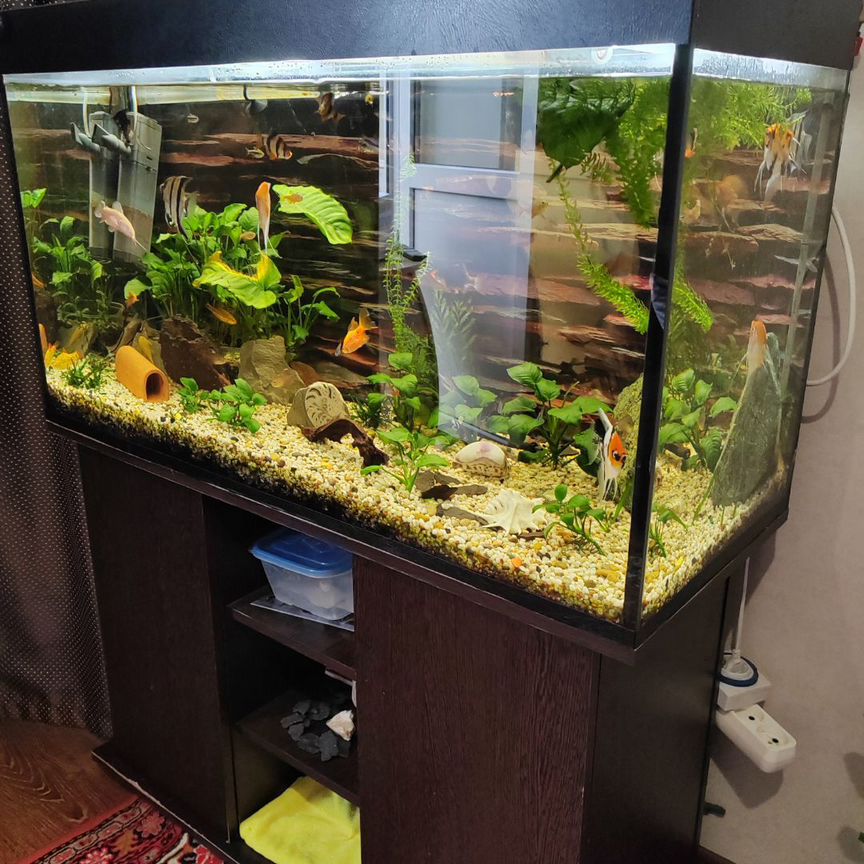 Продам аквариум 200 л 0