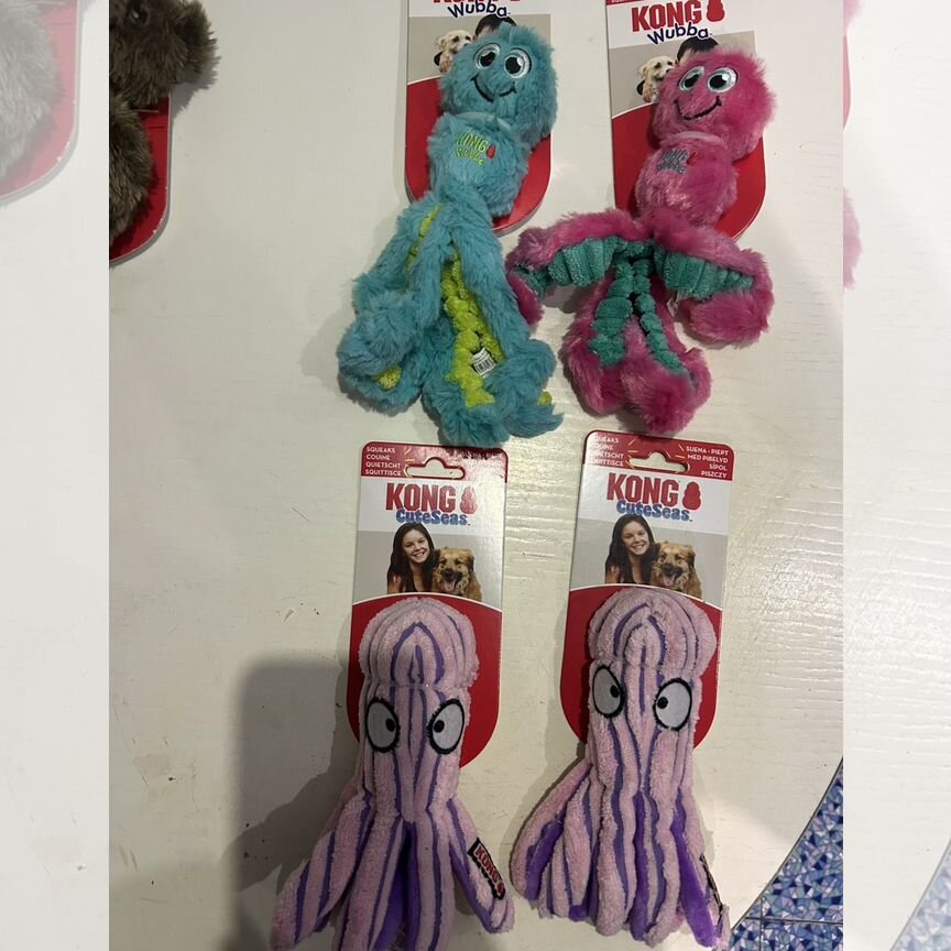 Kong осьминоги
