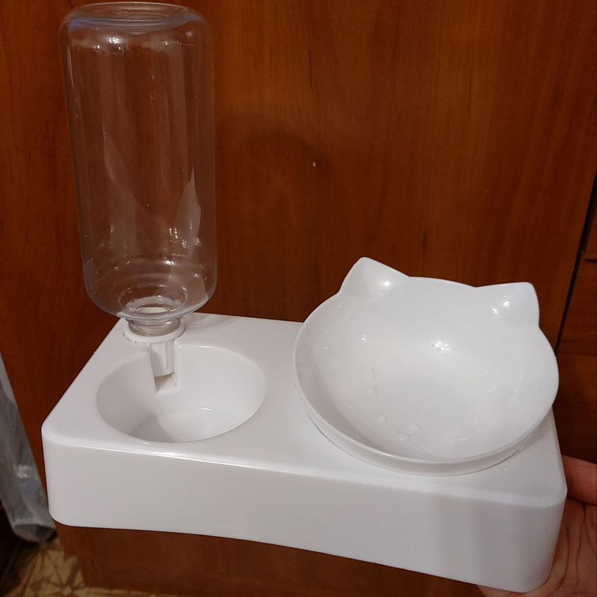 Кошачья миска