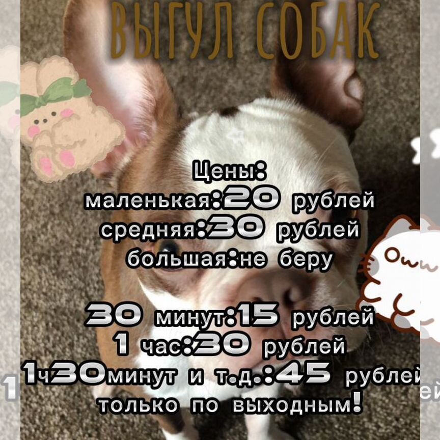 Выгул собак