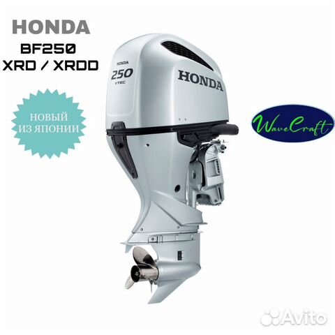 Новый лодочный мотор honda BF250D xrdd купить во Владивостоке ...