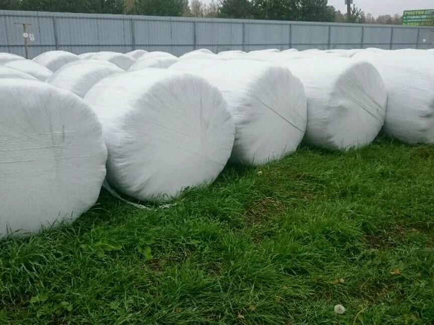 Предлогаем сенаж