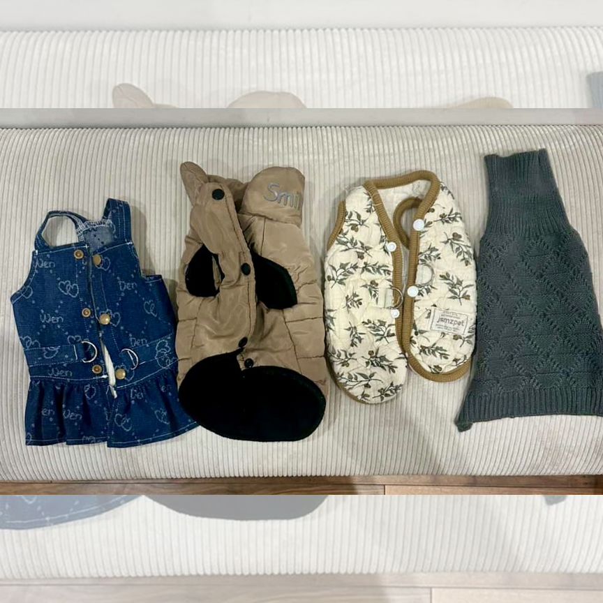 Одежда для собачки. Комбинезон. Жилетка. Платье