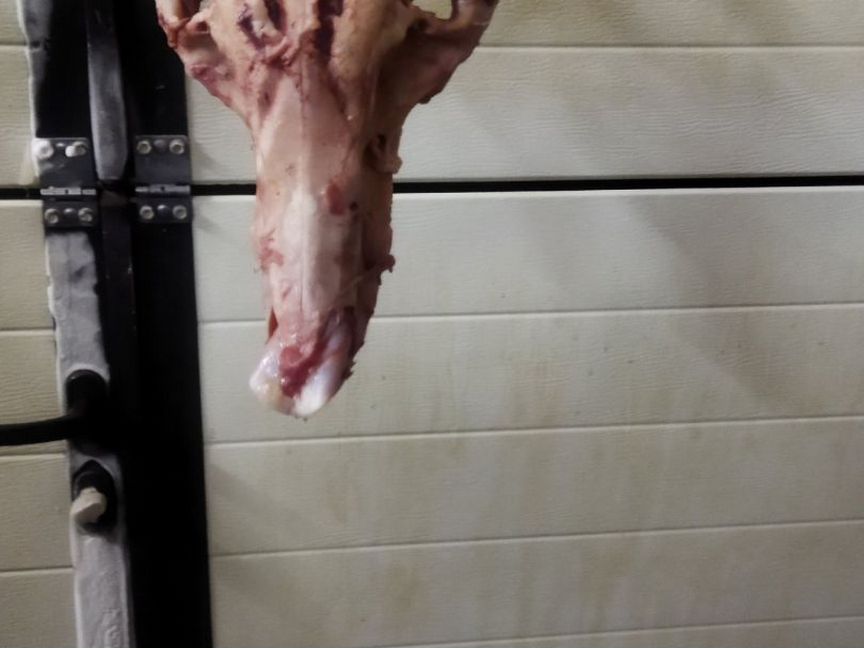 Кости от свиных голов