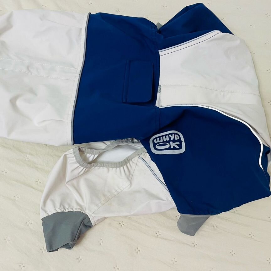 Дождевик для маленькой собаки