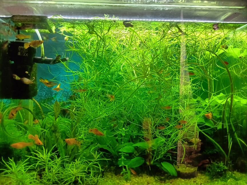 Украшение для аквариума