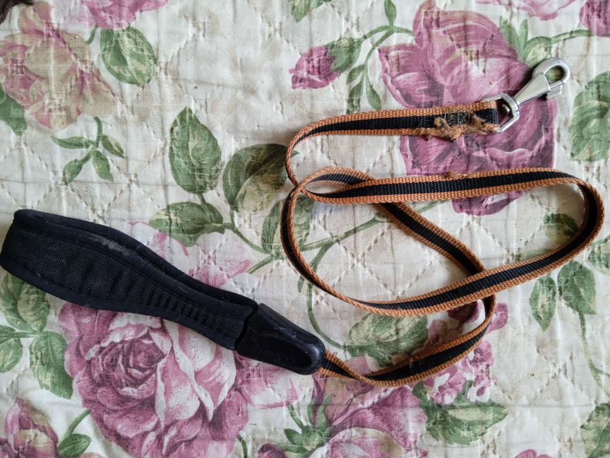 Надежные короткий и длинный поводок для собак