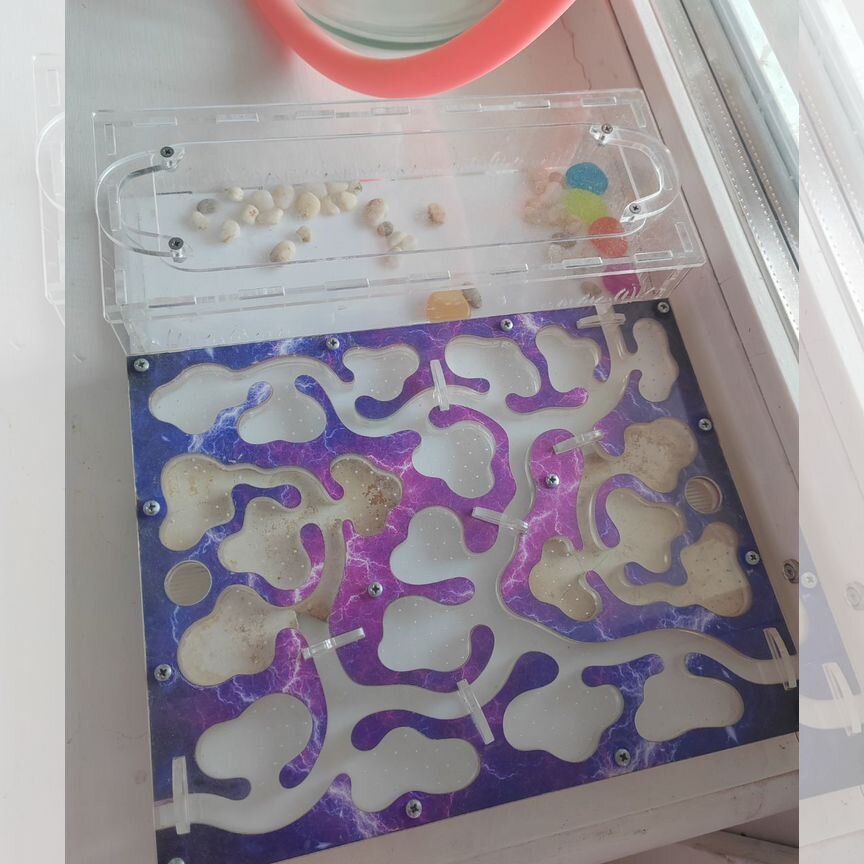 Муравьиная ферма бу