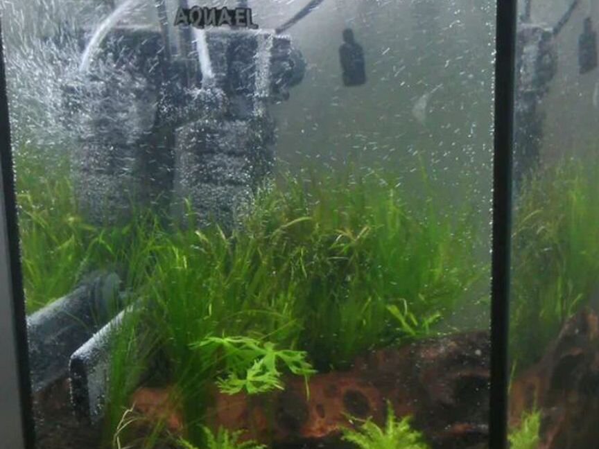 Аквариум 20 литров