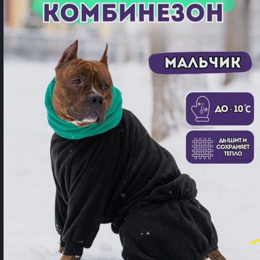 Зимние комбинезоны на собаку 55