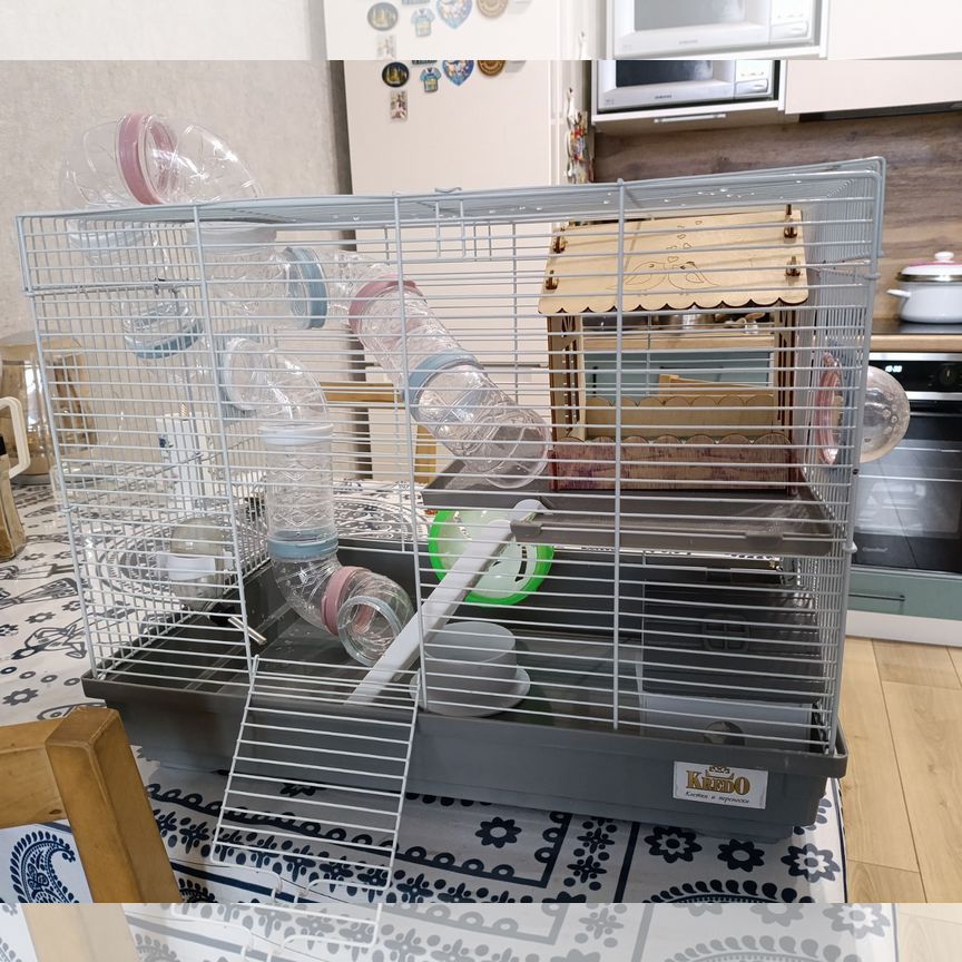 Клетка для хомяка бу