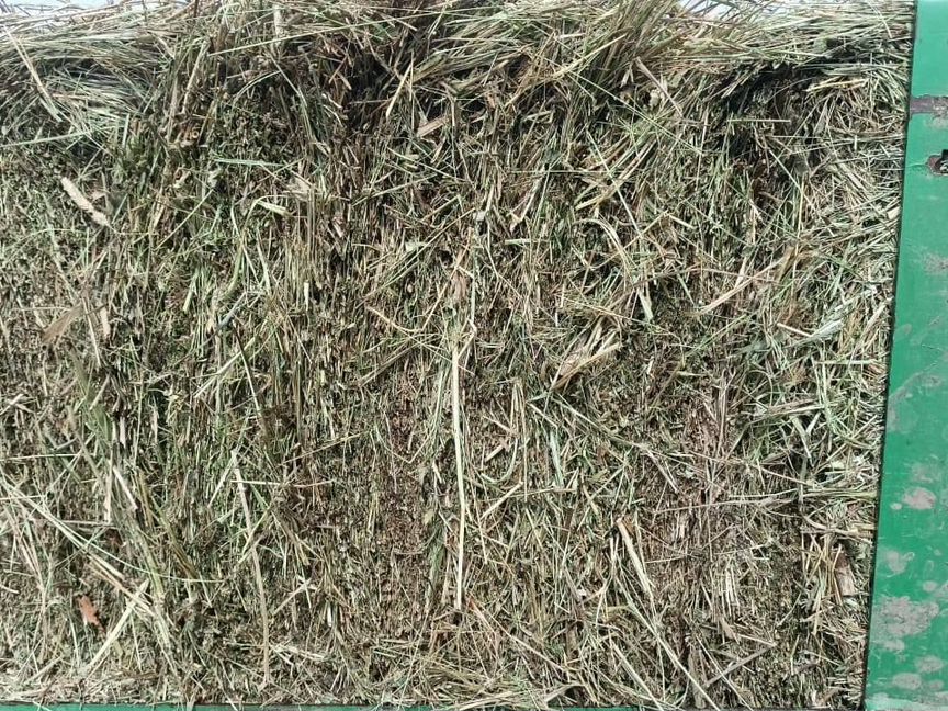 Сено в тюках 2023 с доставкой