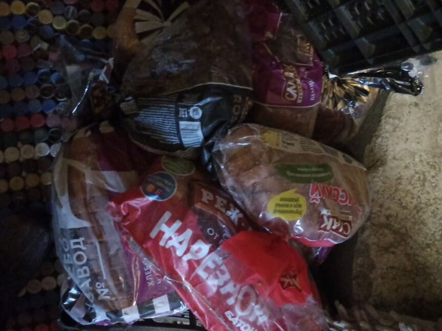 Корм для животных