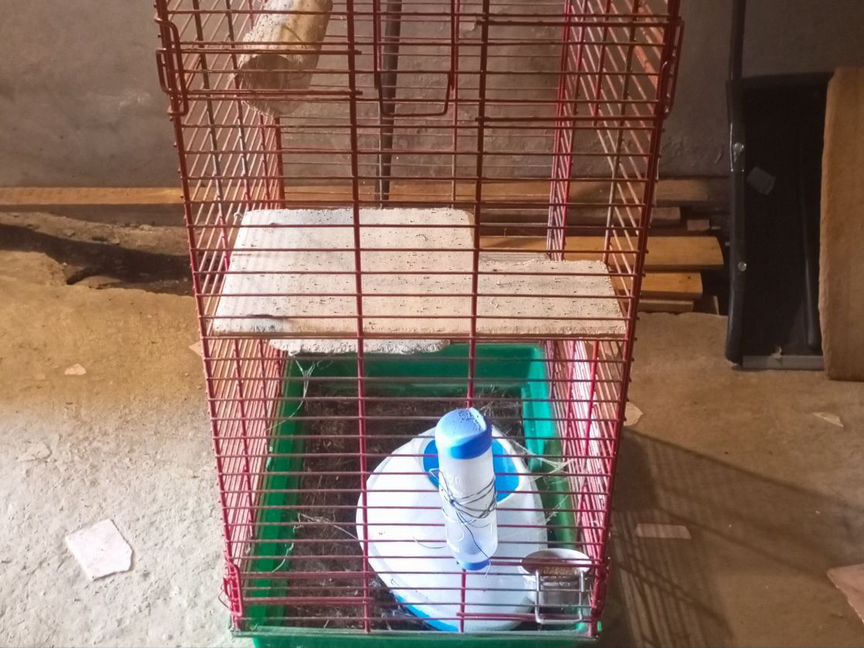 Клетка для шиншиллы