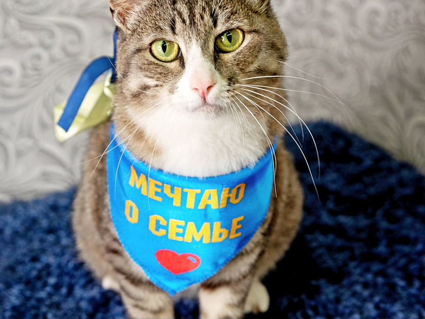 Софи в поисках котородителей