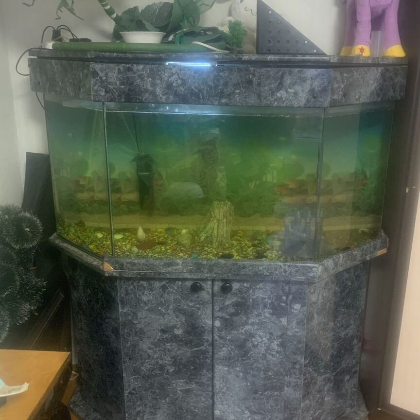 Аквариум с тумбой