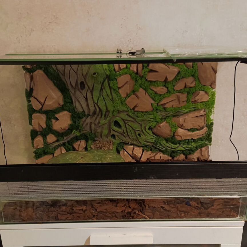 Терррариум для рептилий