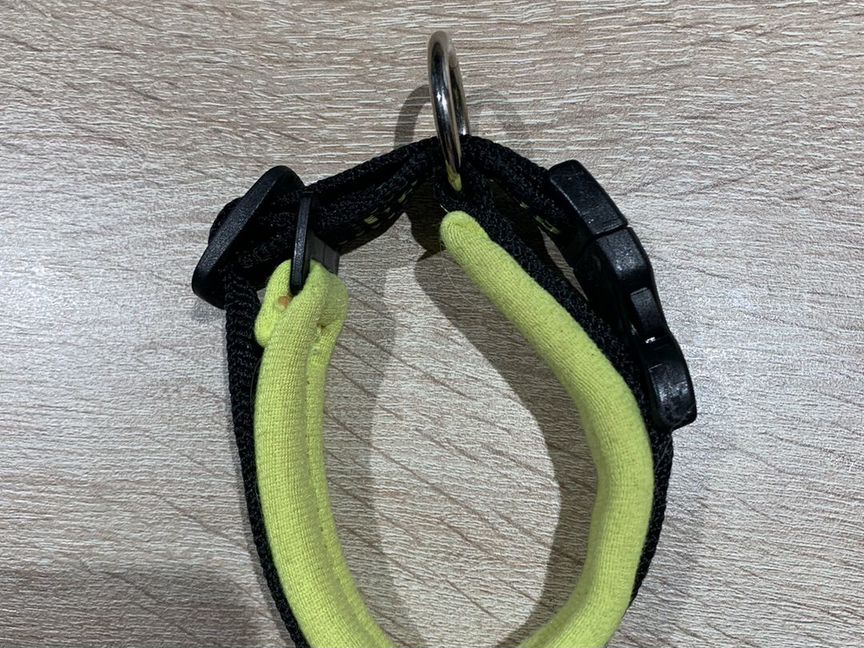 Ошейник для щенка