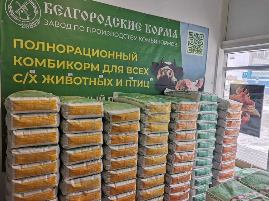 Комбикорм Белгородский в Тольятти