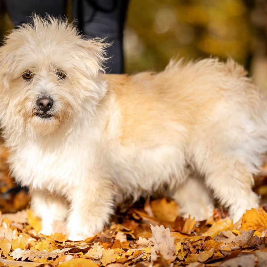 Мальчик Ëся ищет дом