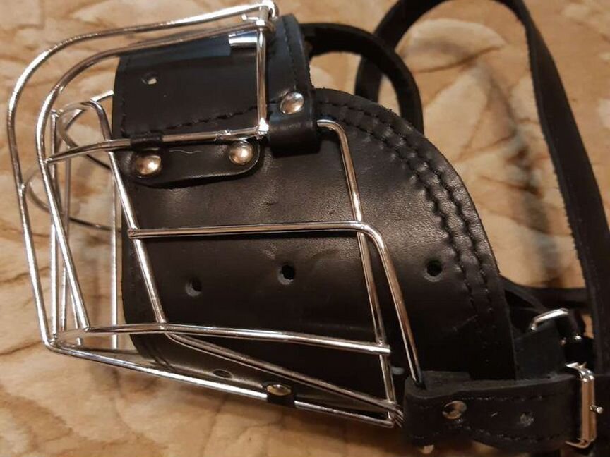 Намордники, контроллер, колеса на переноску Триол