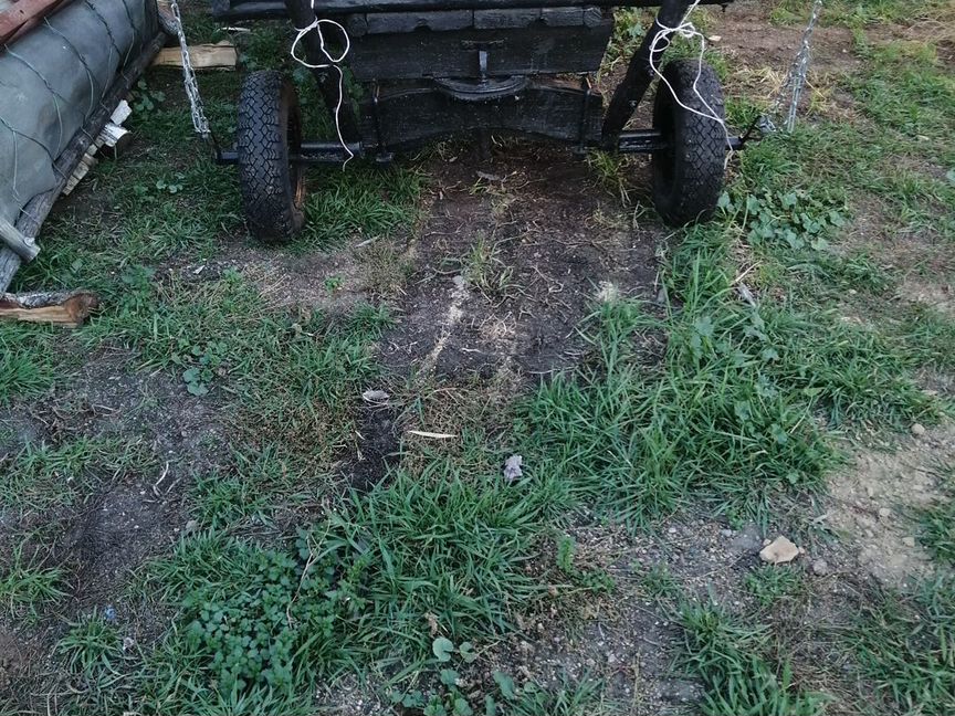 Продам конную телегу. Сани