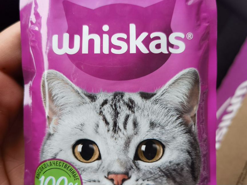 Корм для кошек влажный