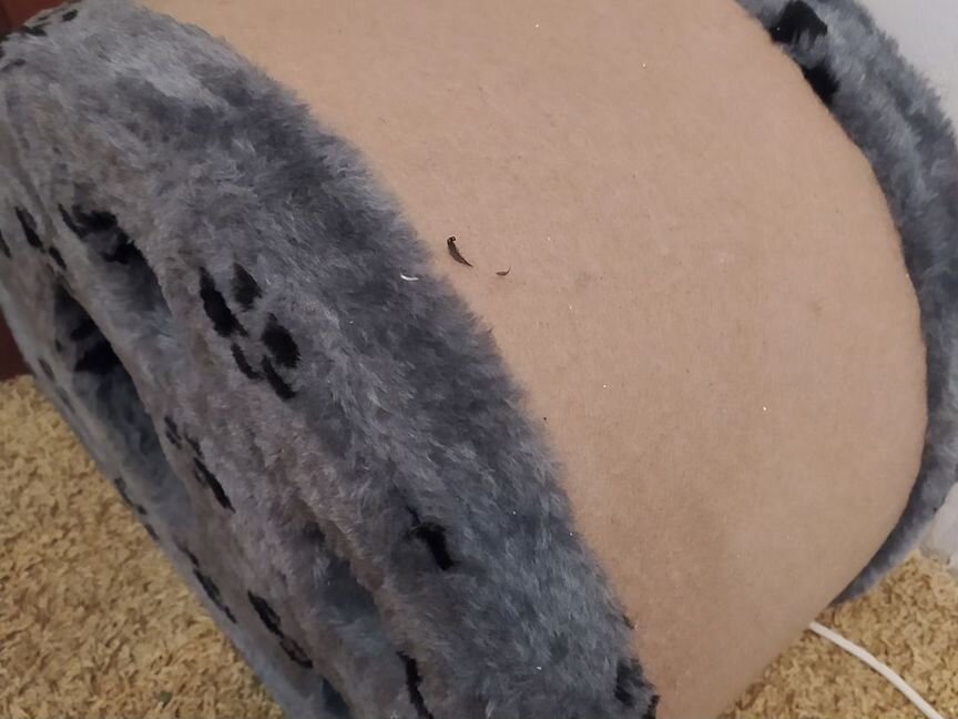 Продам домик для кошек