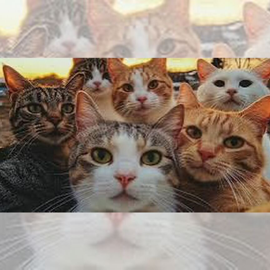 Передержка