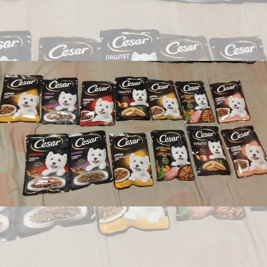 Влажный корм для собак cesar