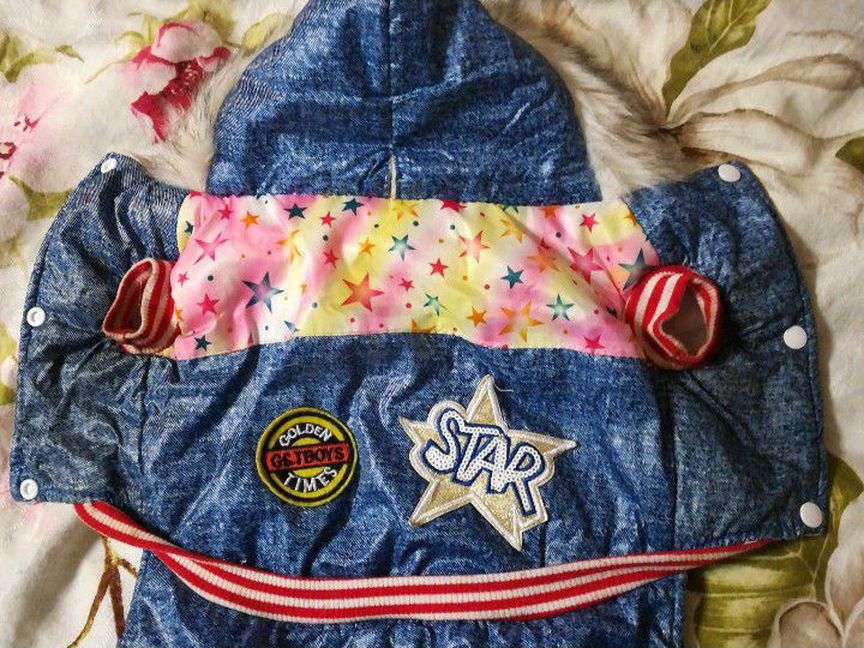 Одежда для чихуа