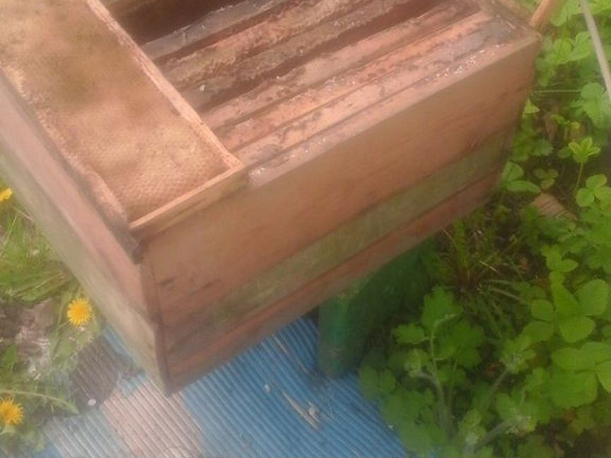 Ульи для пчел