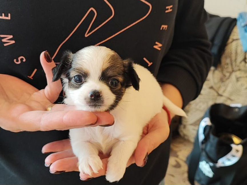 Милая девочка Милка