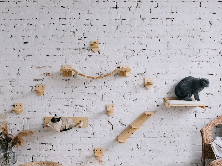 Настенный комплекс для кошек