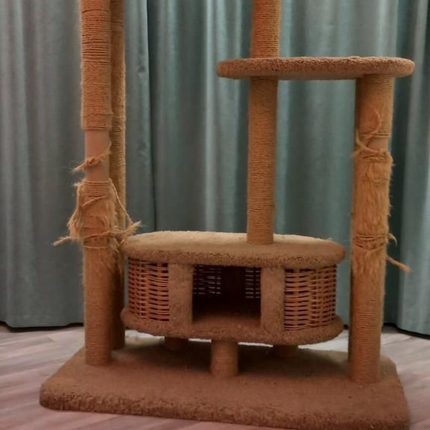 Кошачий комплекс бу