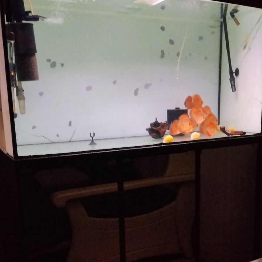 Аквариум с тумбой