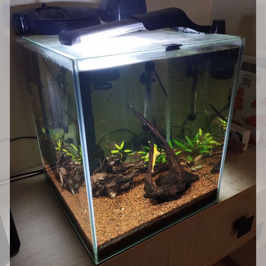 Аквариум бу с рыбками