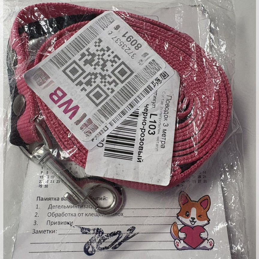 Ошейник и поводок