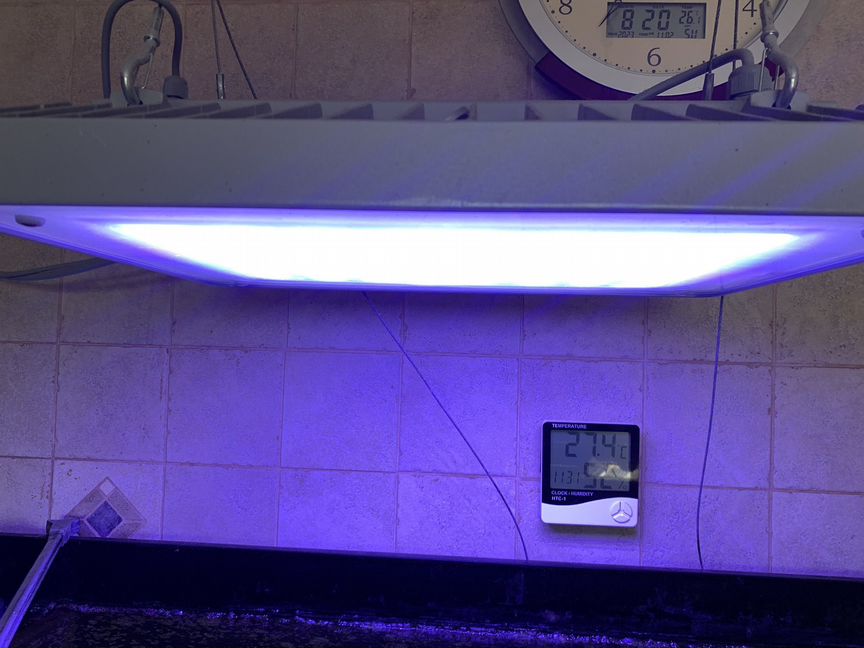Philips CoralCare
