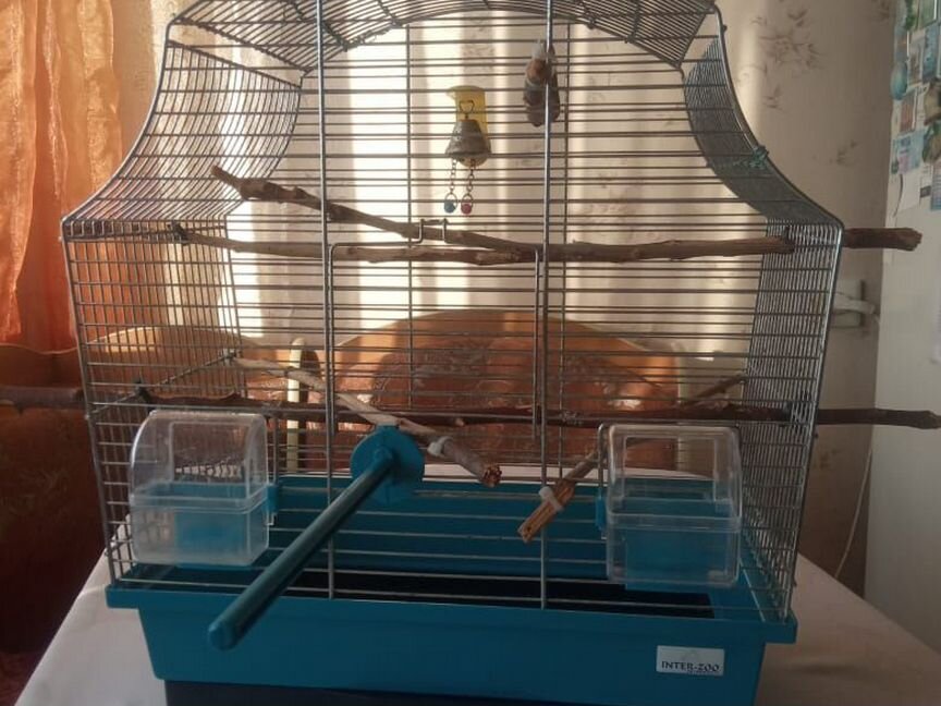 Клетка для волнистого попугая или канарейки
