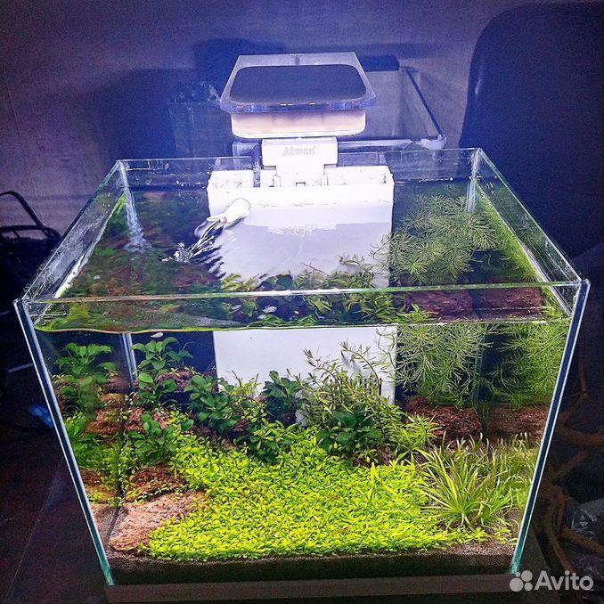 Готовый мини аквариум 15 литров