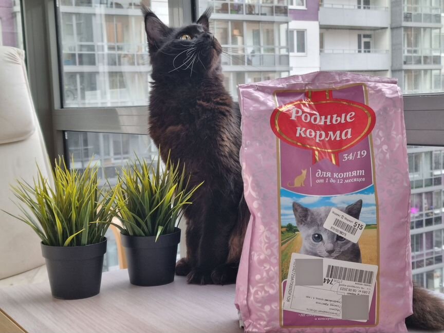 Сухой корм для котят Родные корма с индейкой