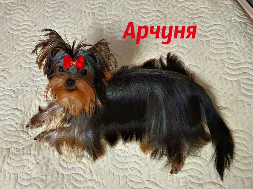 Подрощенные мальчишки РКФ