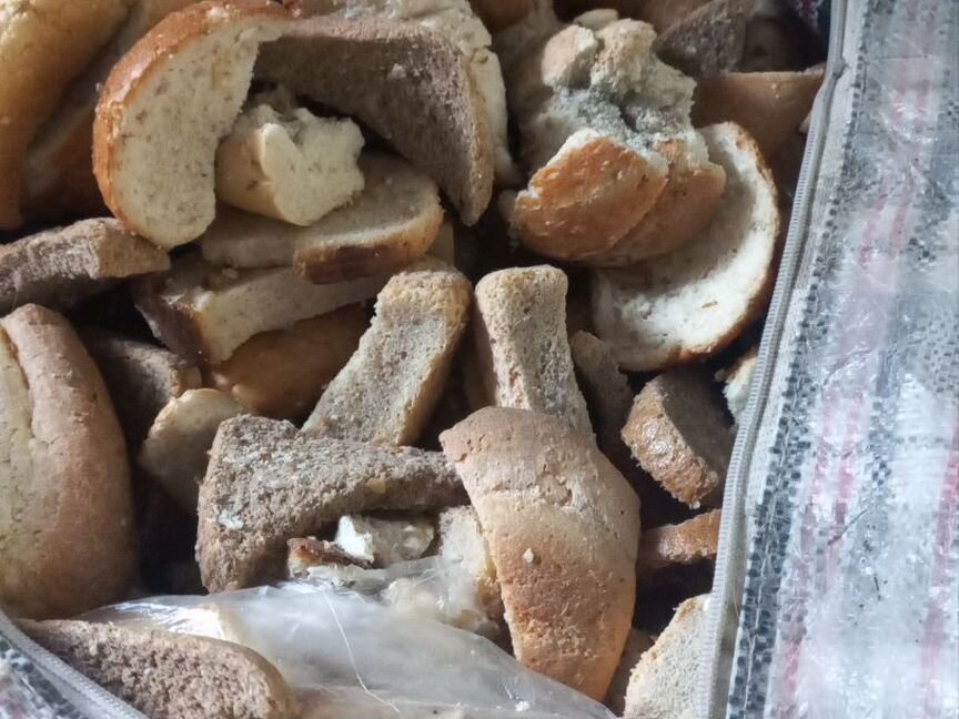 Кукуруза /хлеб