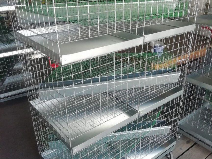 Клетки для содержания бройлеро