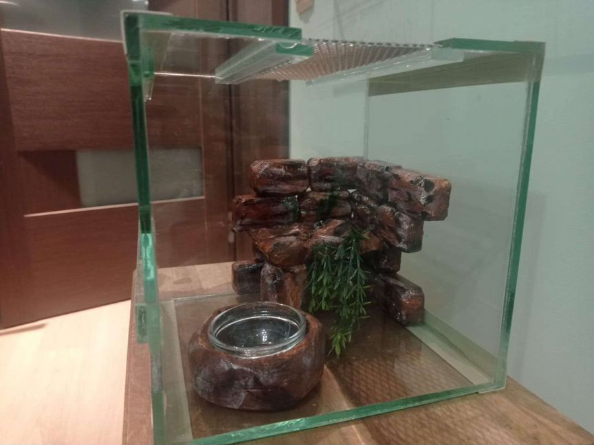 Паучатник, укрытие