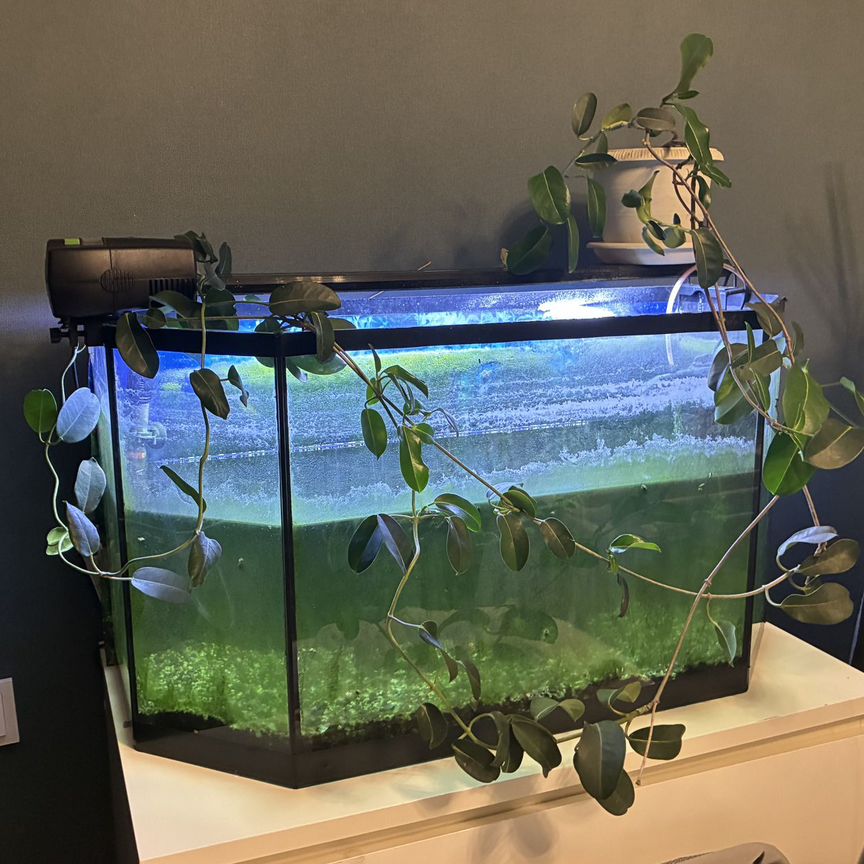 Аквариум 100 литров