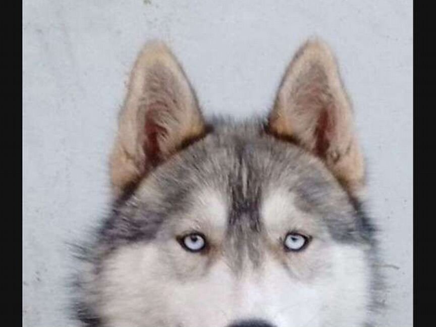 Ищу подружку