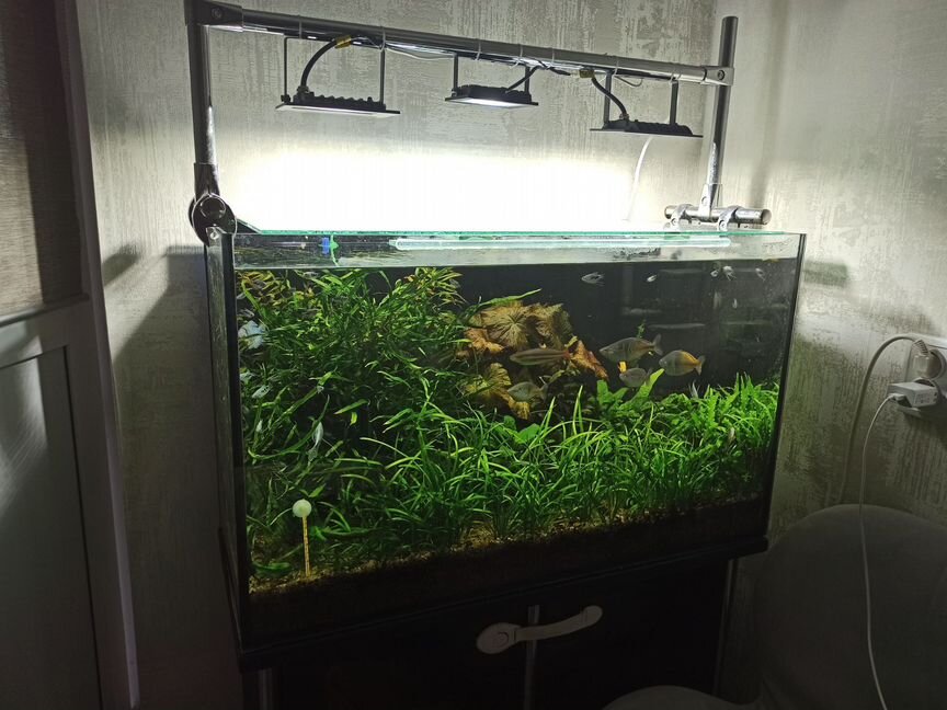 Аквариум (протекает шов, легко починить)